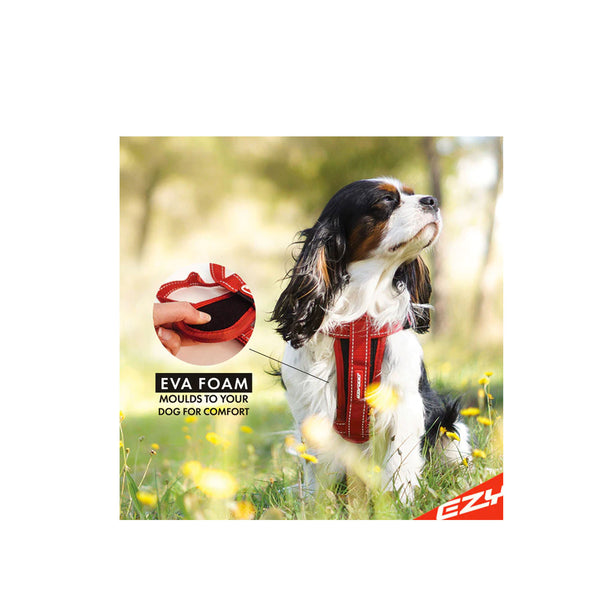 EzyDog Chest Plate Harness - Green Camo – PUPNPUSSY - All About The Urban Pet